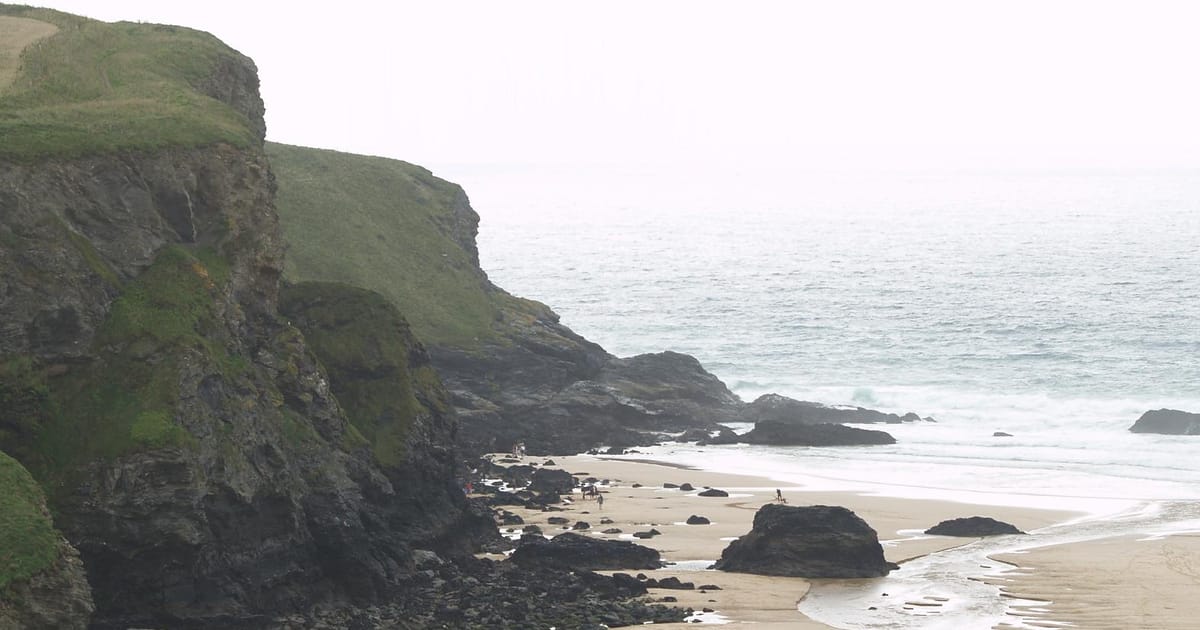 Alan Needham | about.me