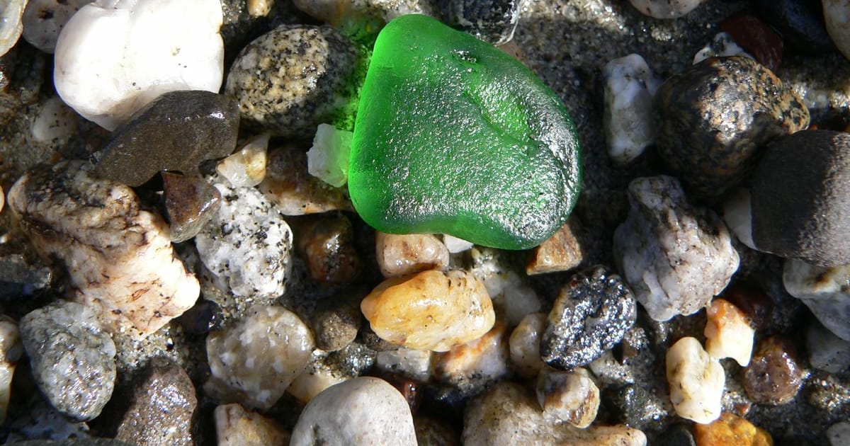 Allen Fish | about.me