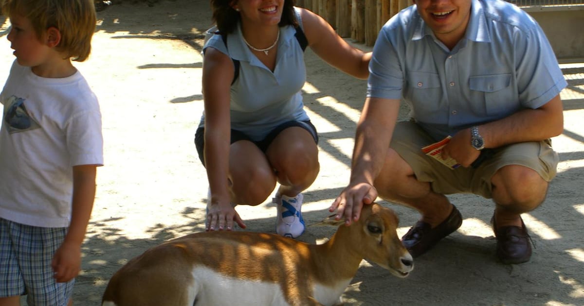 Altan Alpay | about.me