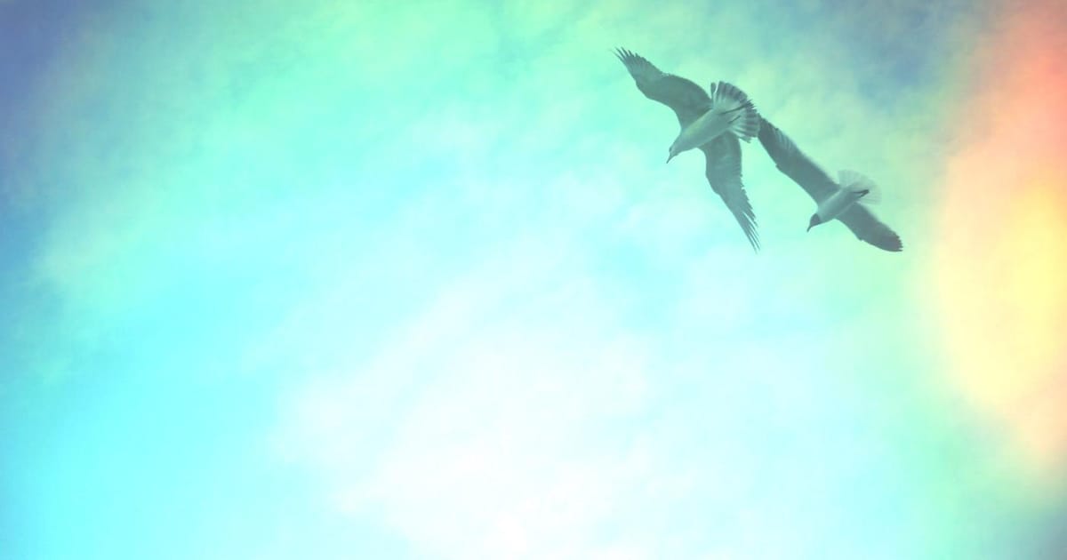 Aline Escobar | about.me