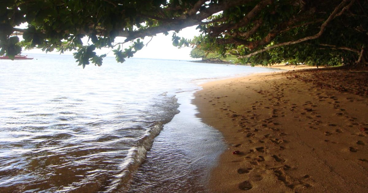 Ariel Deitz | about.me