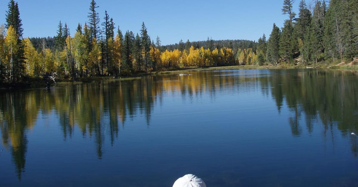 Arthur Daniels - Nevada, Network Marketing & Construction | about.me