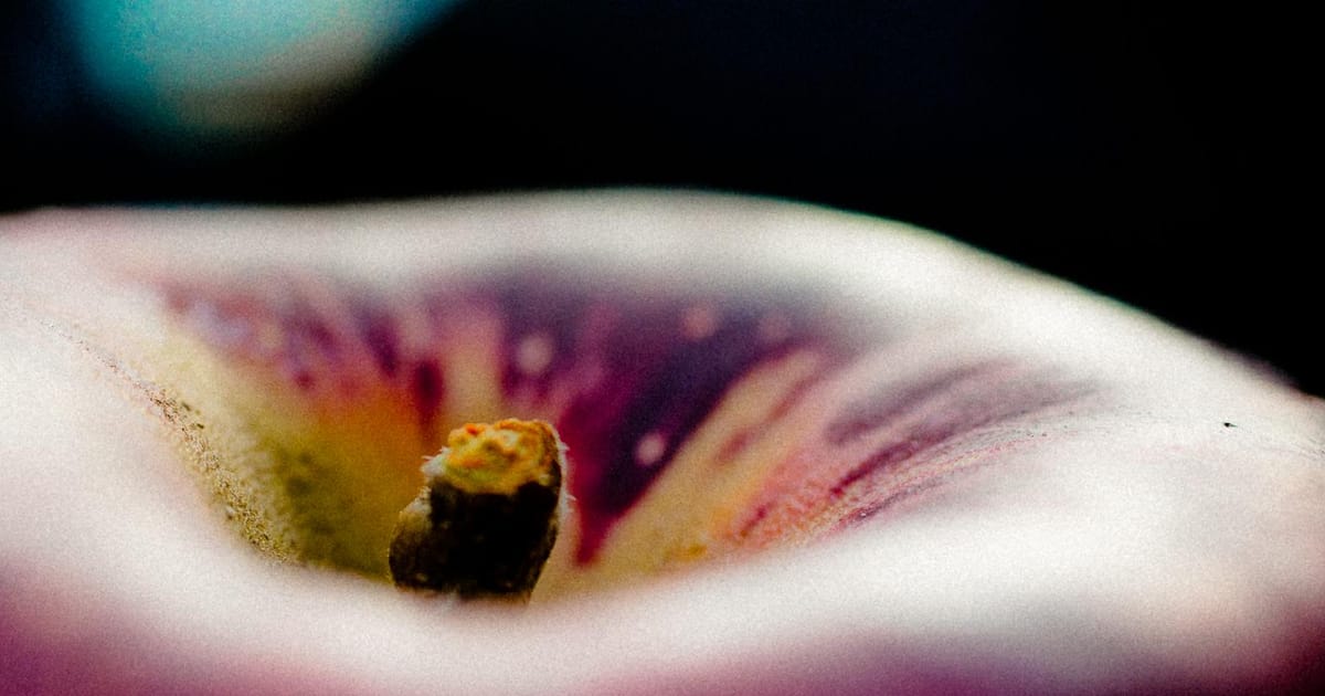 Aznyan Ultimate | about.me