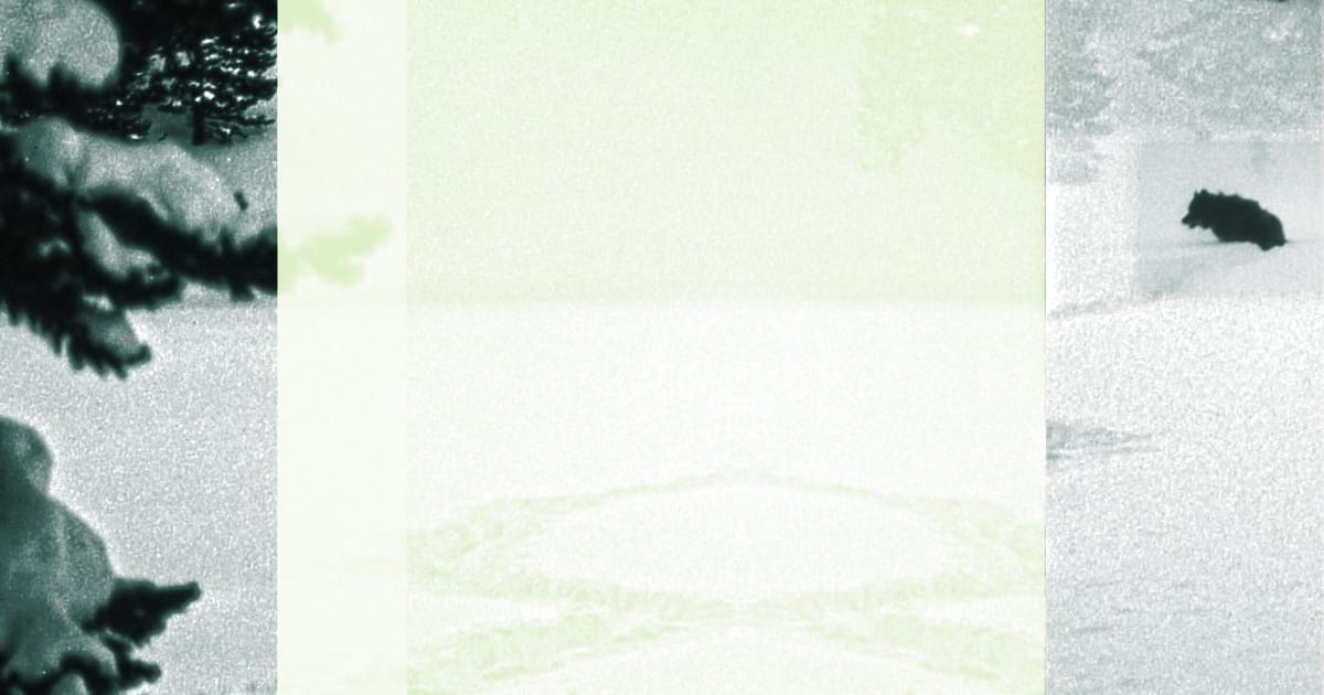 BARBARA ADLER - Vancouver | about.me