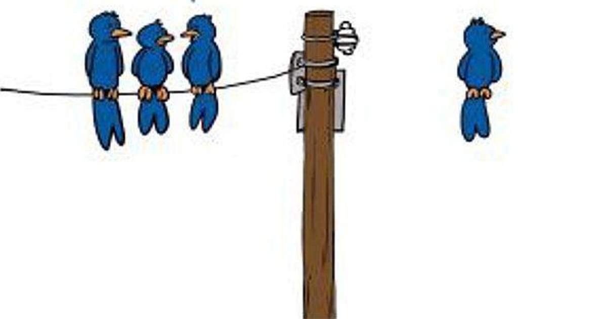 aaaaaaaaa sssssssssssssss | about.me