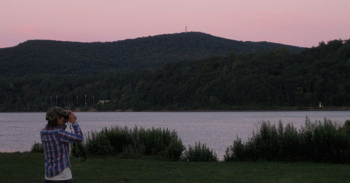 Brenda Timm - Croton, NY | about.me