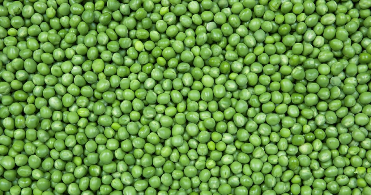 Brianne Houck - Denver, CO | about.me