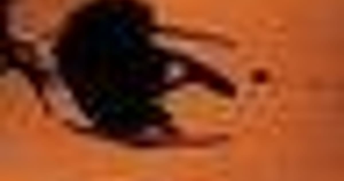 Brian Wiegand | about.me