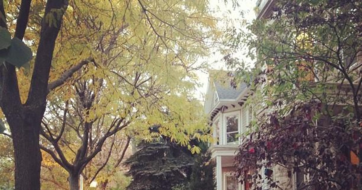 Caitlin Fox - Chicago, Illinois | about.me