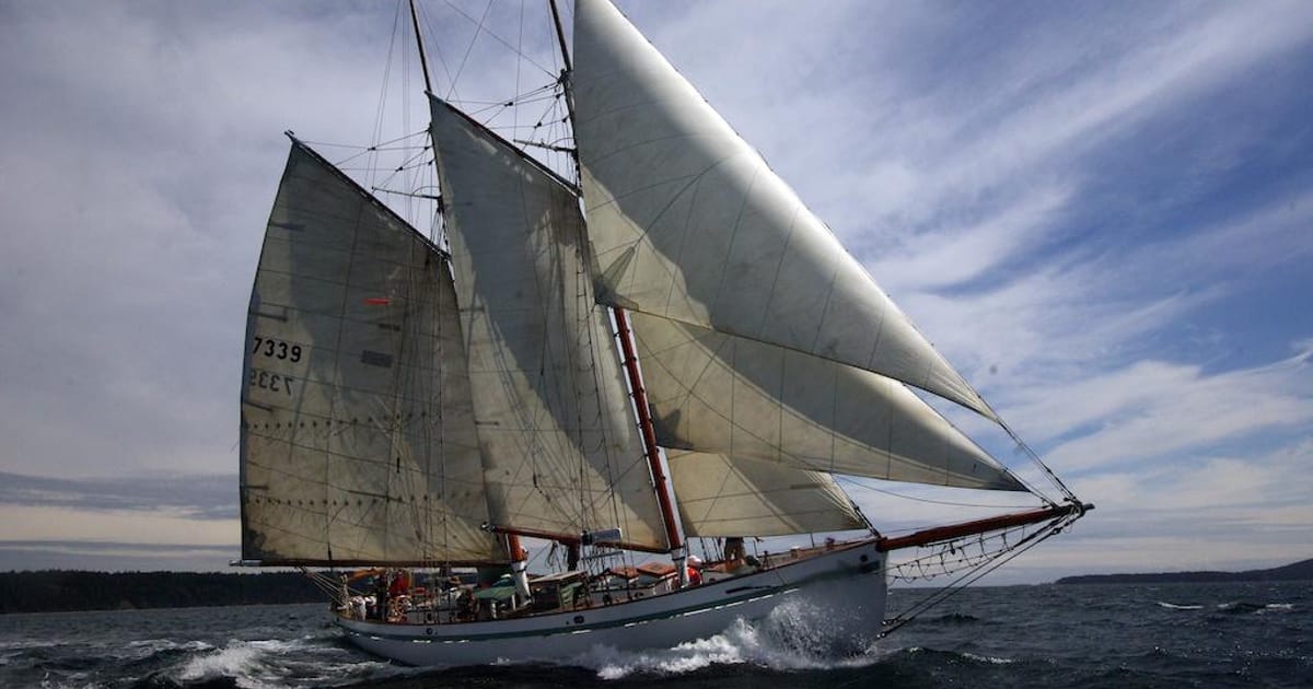 Catherine French | about.me