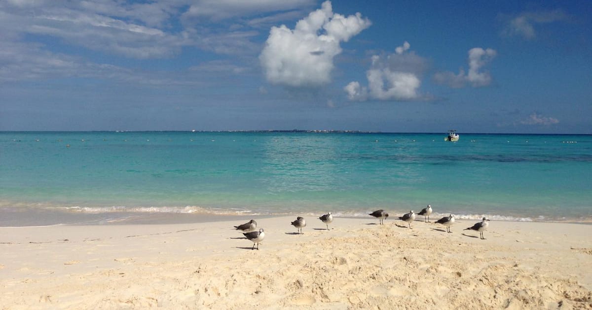 Cesar Rodriguez - Baltimore, MD, Raytheon, MS Security Informatics ...