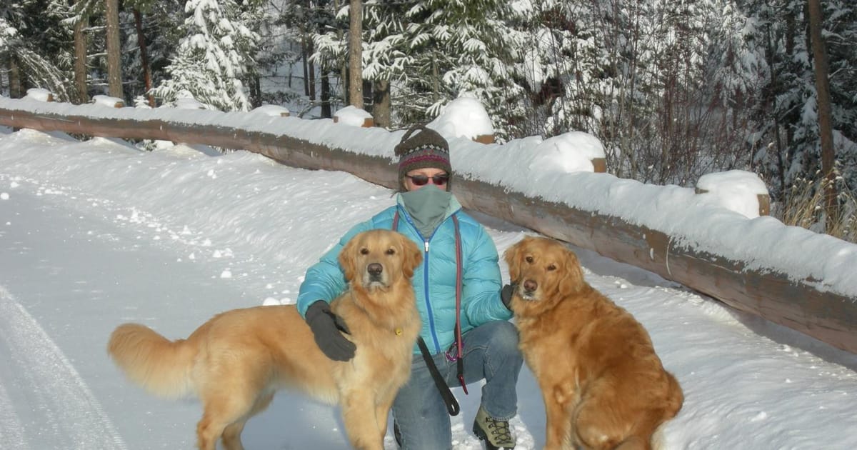 Cindy Deming | about.me