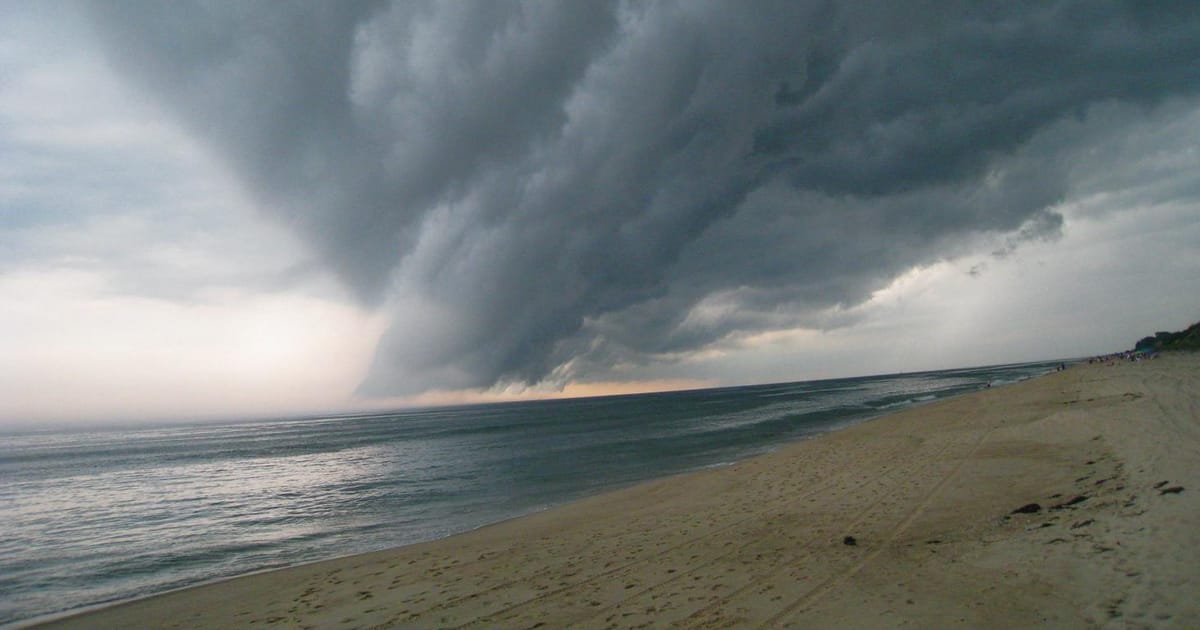 Craig Markus - Brooklyn | about.me