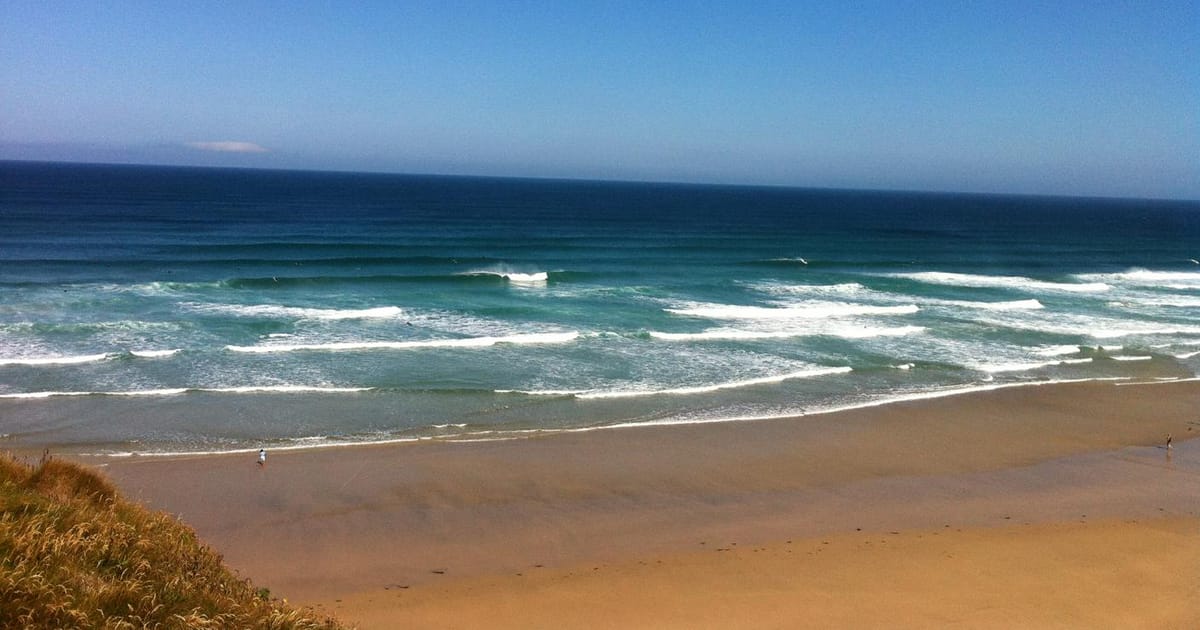 Daisy Griffith | about.me