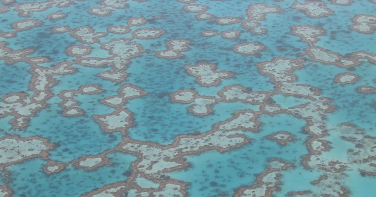 Damien Buckley | about.me