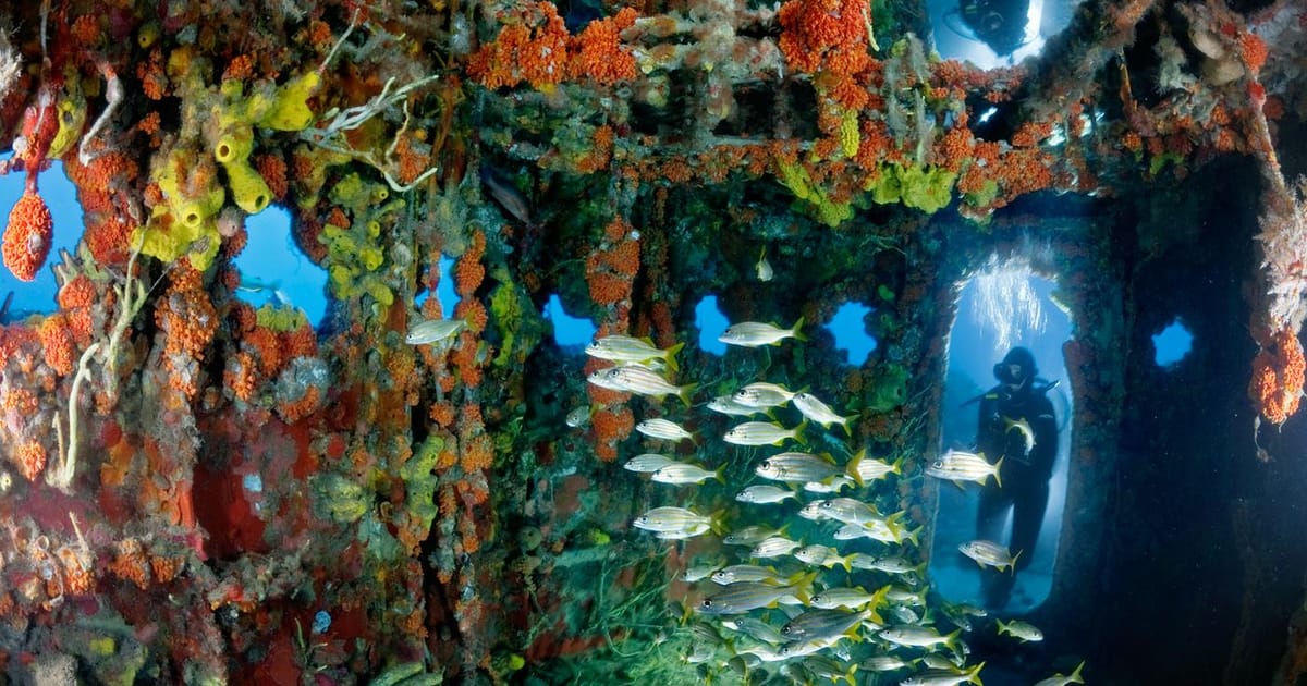 Daniel Riley | about.me