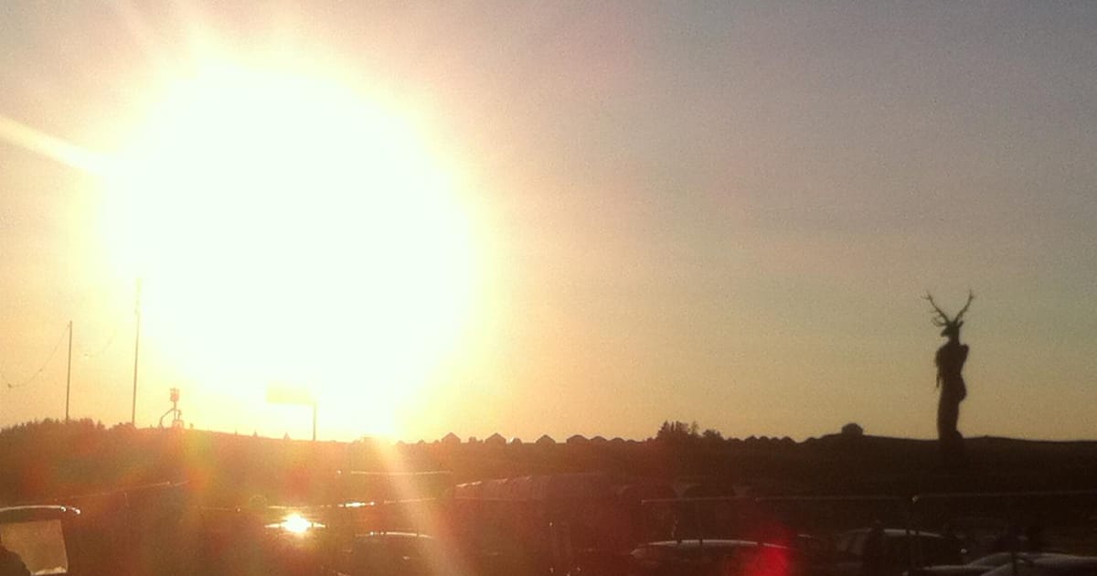 Daniel Alston | about.me