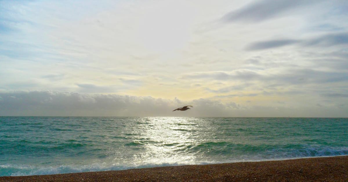 Daniel Temple | about.me