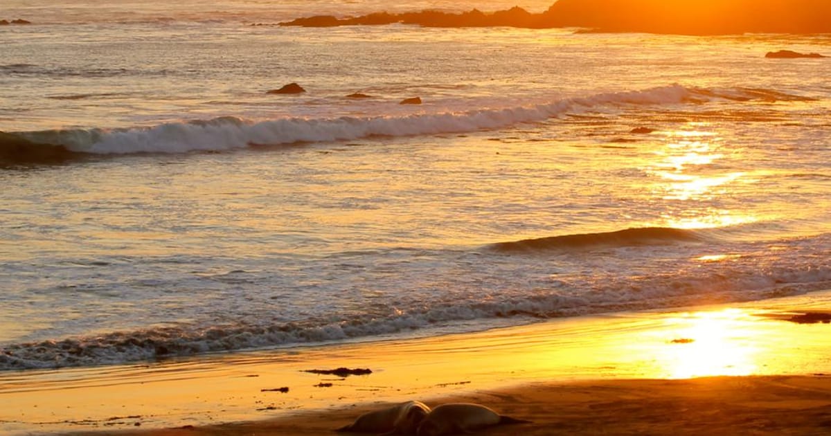 David Gorges - Hamburg, Germany, WIDGE.de GmbH, LeapHub GmbH, HFU ...