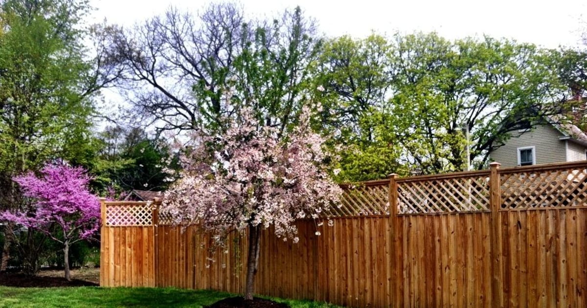 David Woessner | about.me