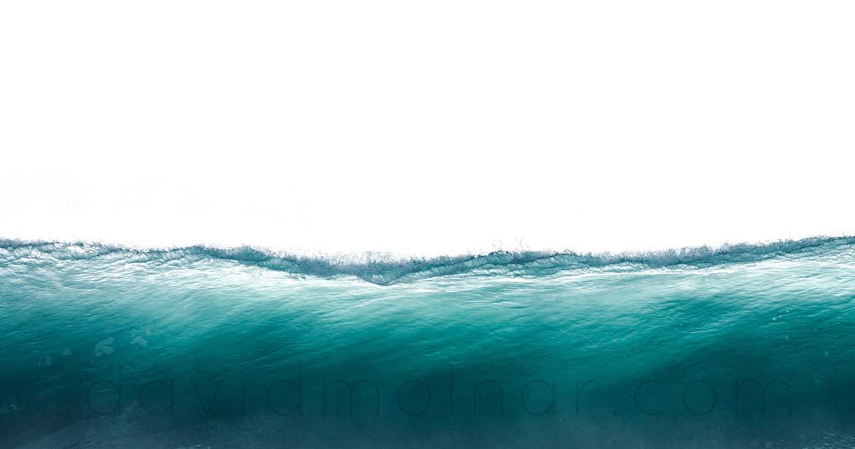 David Molnar - Nashville, TN, Photographer | about.me