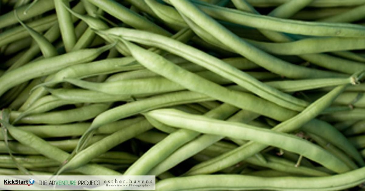 David Purvis | about.me