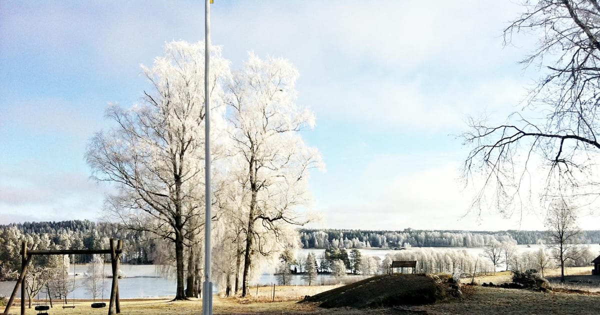 David Rydén | about.me