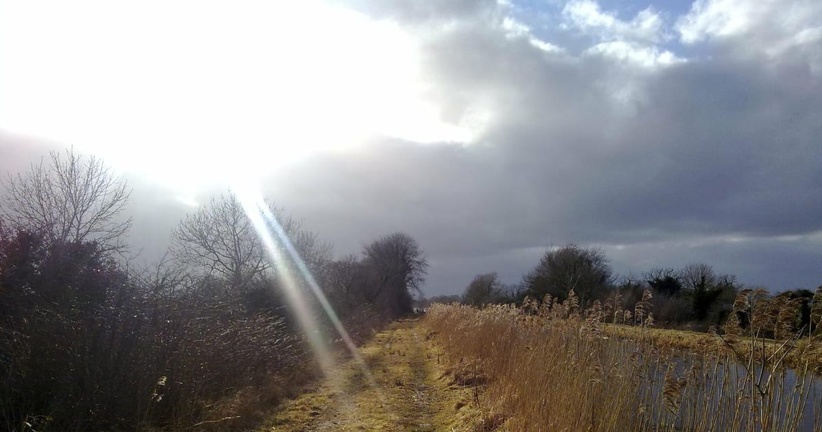 Dermot Sheehan | about.me