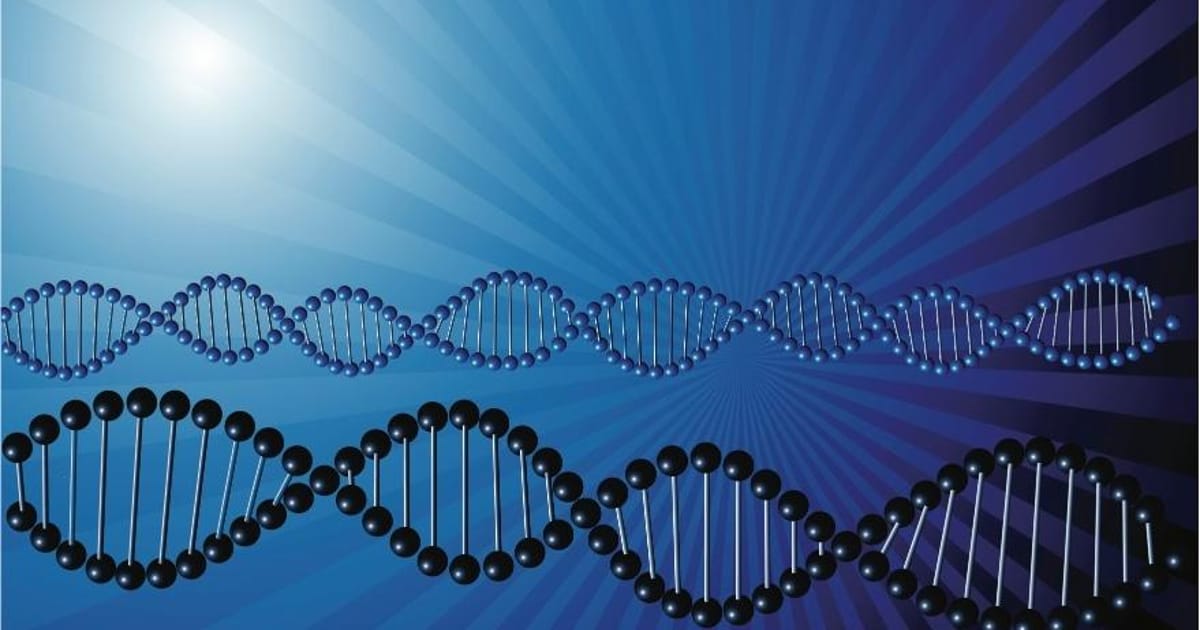 Fia Porter - NYC, Excellent Southern University; Fantastic NYC Law ...