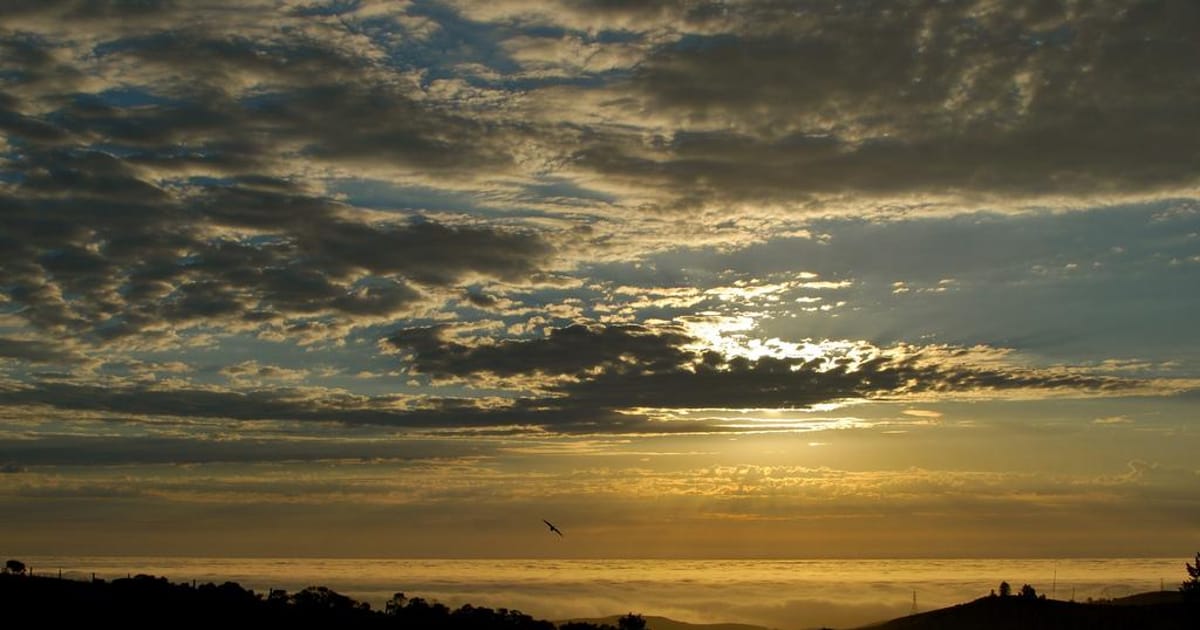 Doug Yoder | about.me