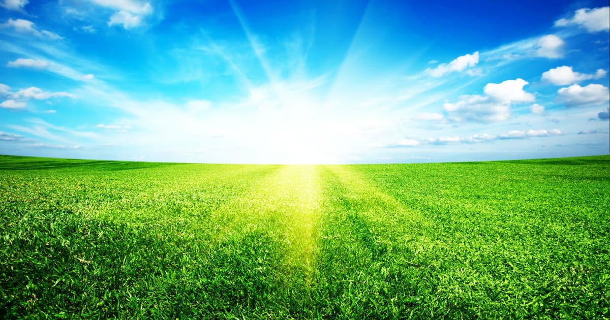 Dr. Frank Rosner | about.me