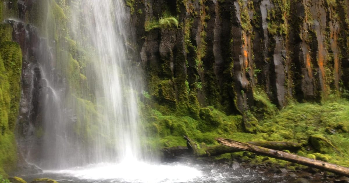 Dustin Rowe - The Best Coast | about.me