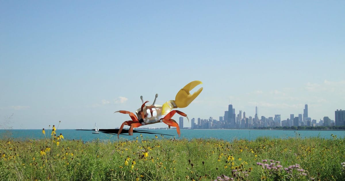 Elizabeth Knell | about.me