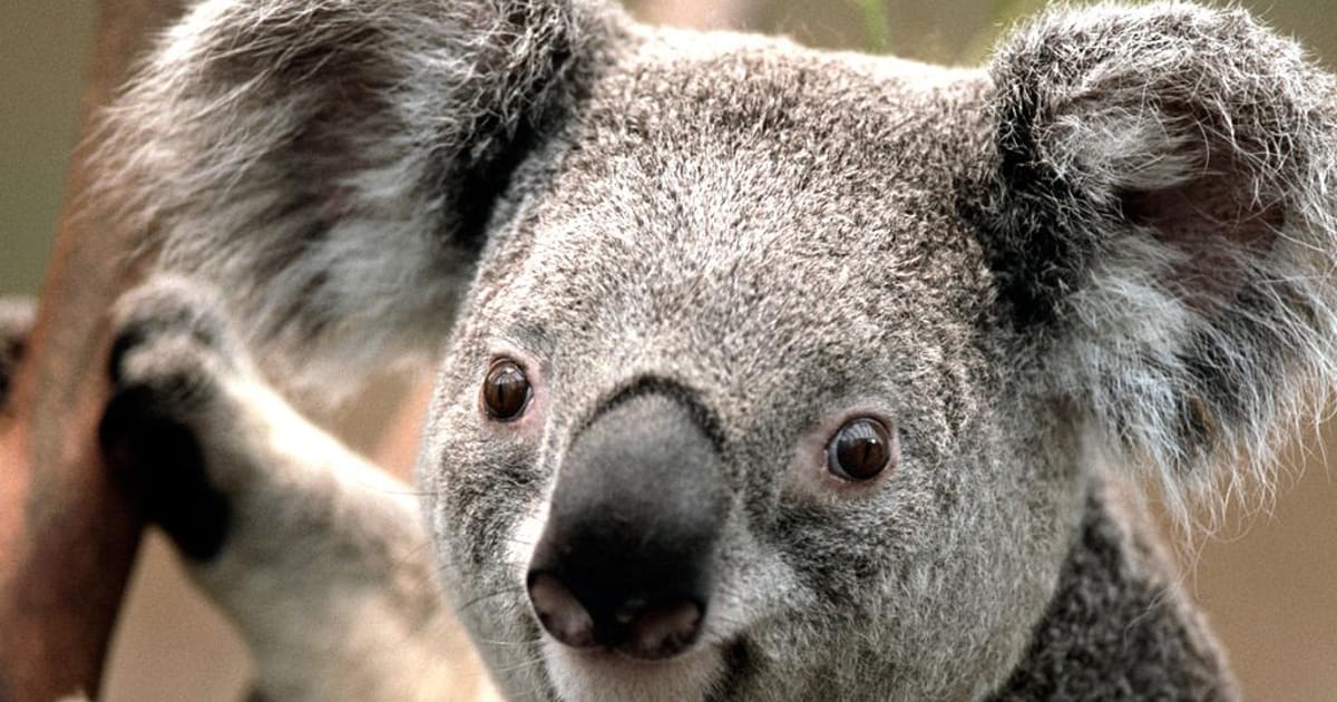 Rodriguez Martinez Edy | about.me