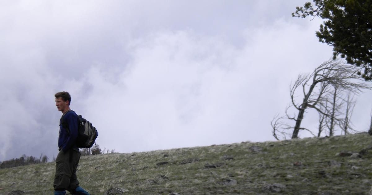 Eli Bildner | about.me