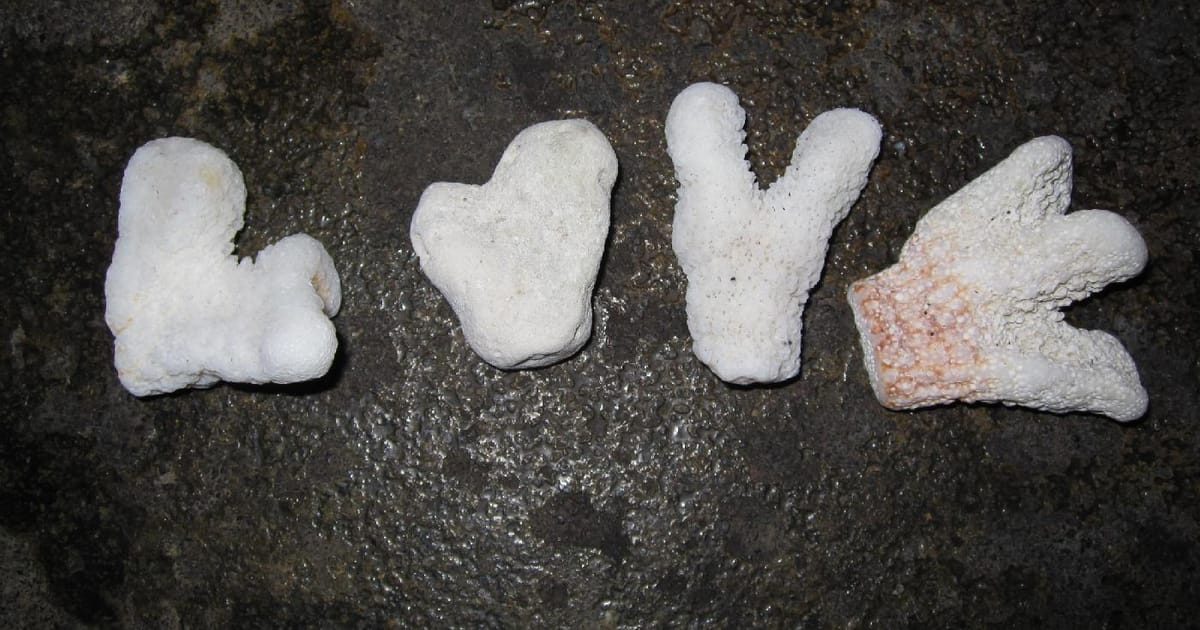 Evelyn Neill | about.me