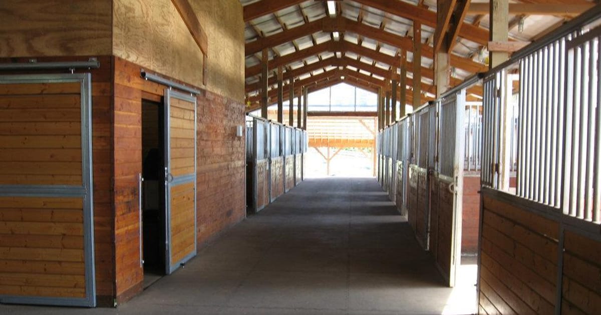 Forest Reach Stables | about.me