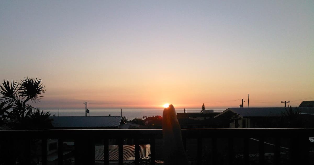 GEM Thomas - anchorage, Bachelor's degree in paralegal studies | about.me