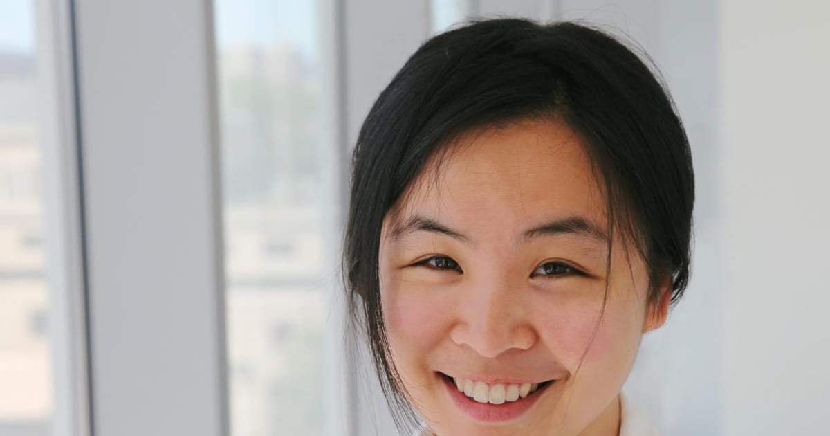 Grace Woo - Chicago, Illinois, United States, Perler Academy, Mit Media ...