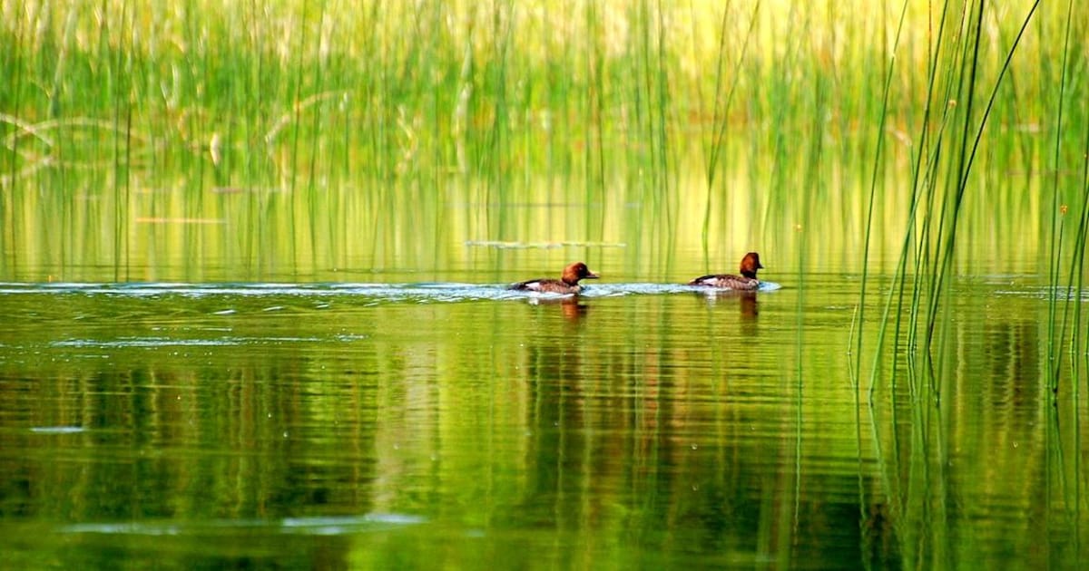 Graham Gillette - Des Moines, Iowa, United States, Gillette Strategic ...