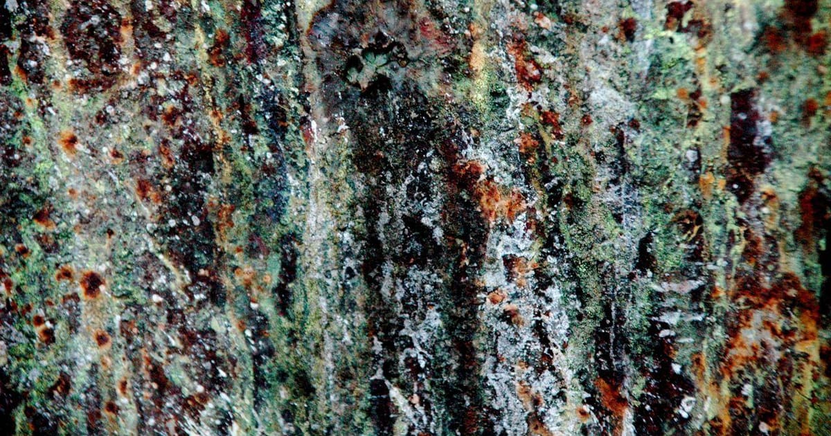 Hank McNeil | about.me