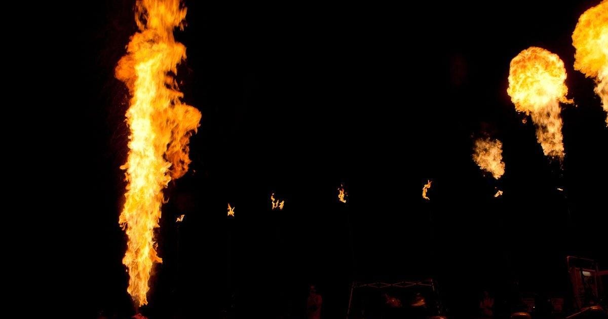 Terry Fields as | about.me