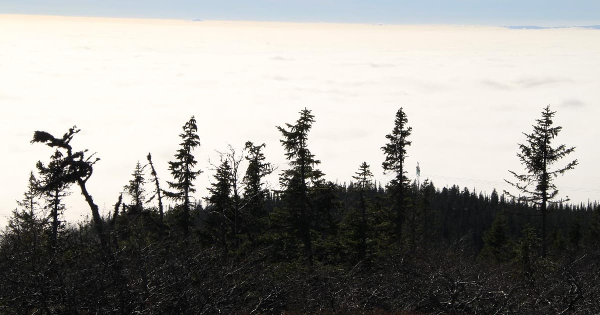 Ingar Viken | about.me