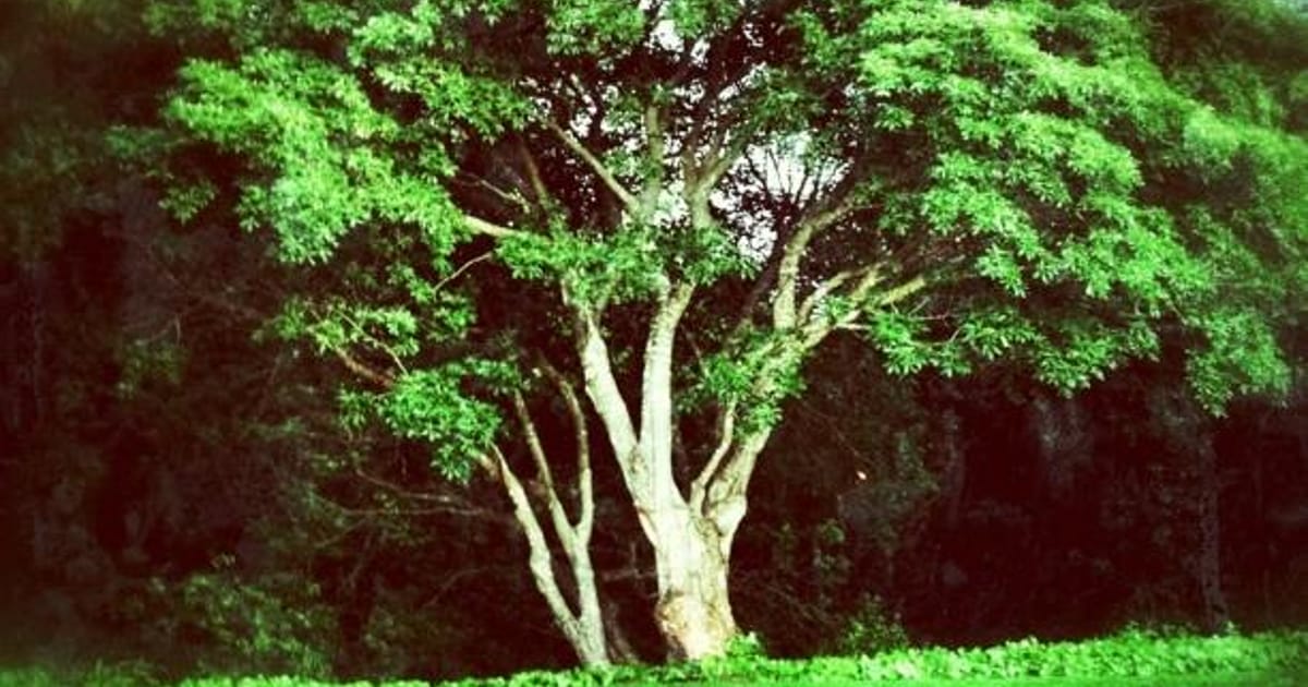 Jake Rouse - San Francisco Bay Area, California, MBA, B.S. Marketing ...