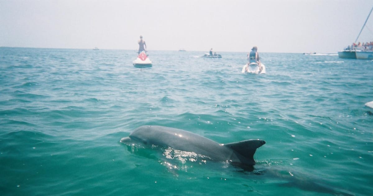 Jamie Reese | about.me