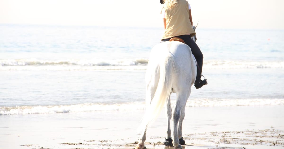 Jeffrey Routledge | about.me