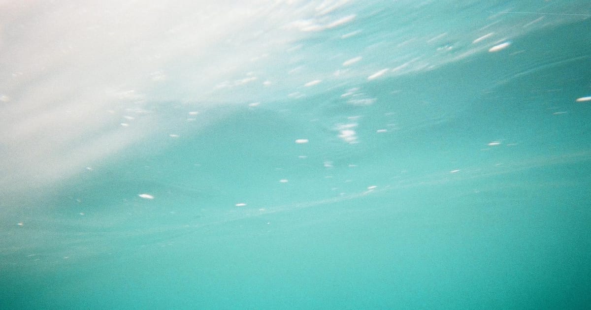 jennifer naughton - Austin, TX, Looking, Associates of Architecture in ...