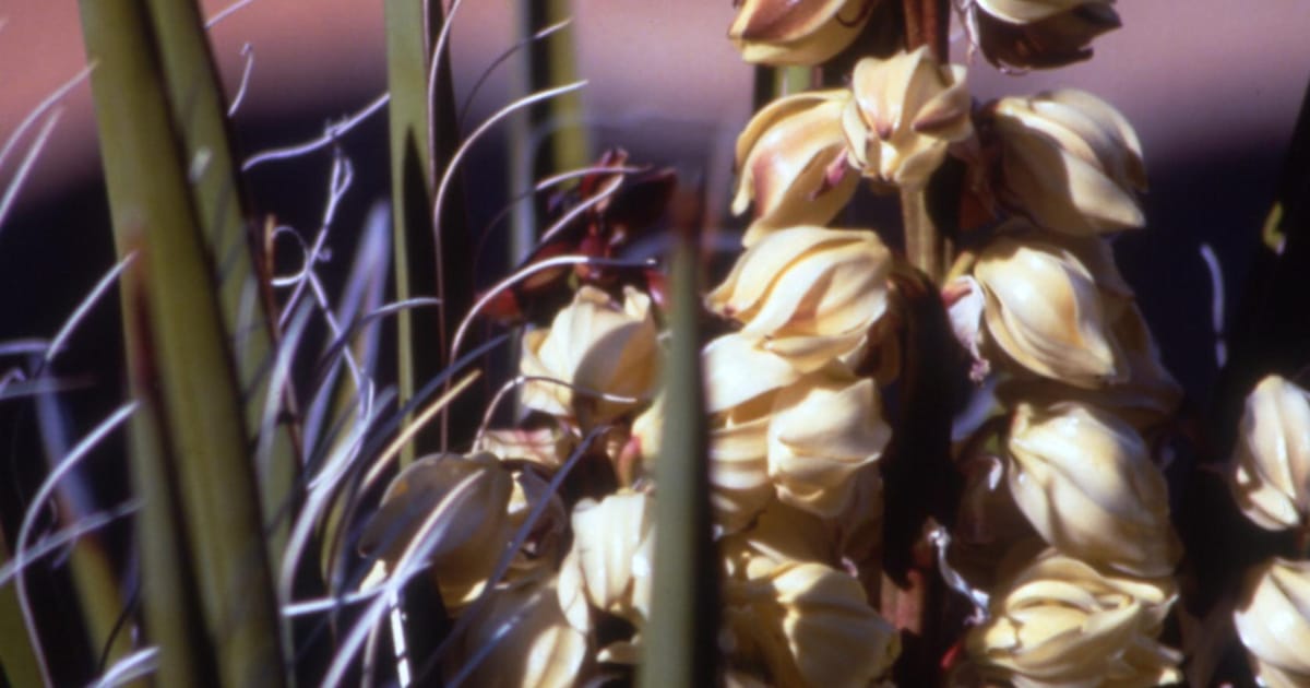 Jennifer Stroth | about.me