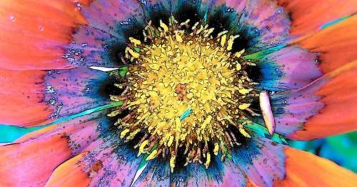 jessica elizabeth | about.me