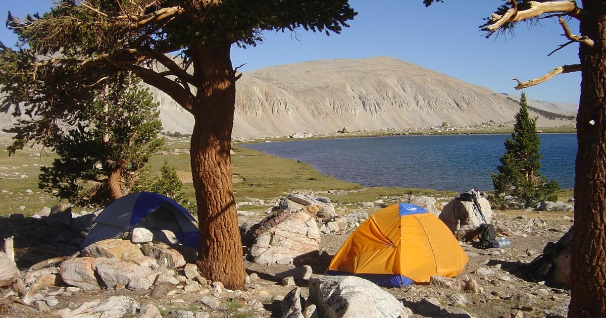 Jessica Elkus | about.me